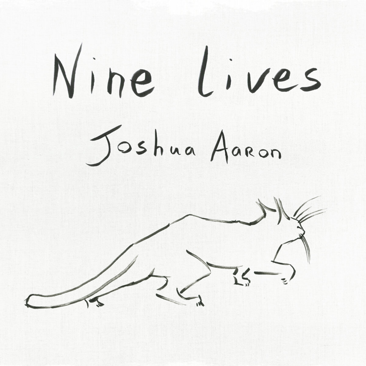 Joshua Aaron Music - Toetsenist, singer-songwriter, componist & docent